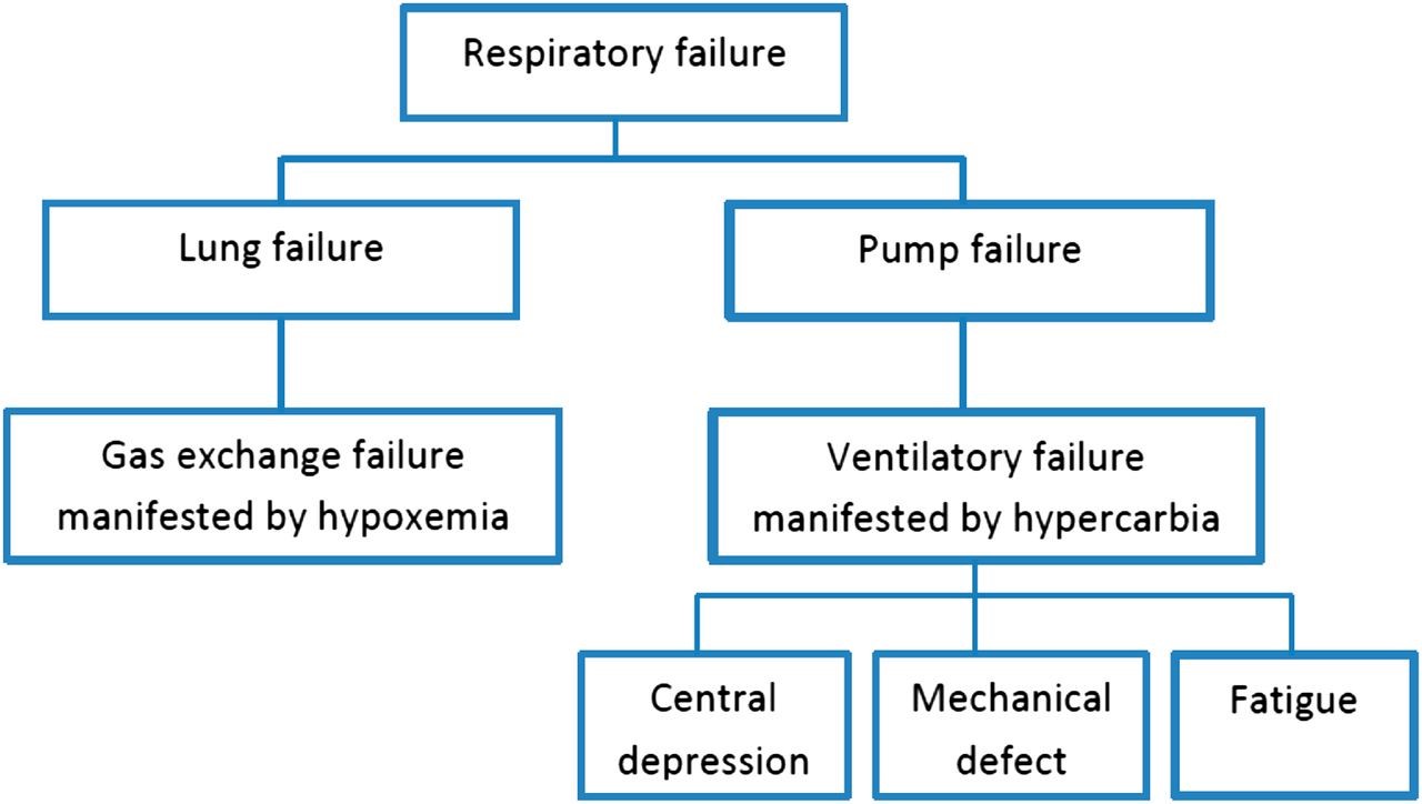 What is Interstitial Lung Disease? - NOVA Pulmonary